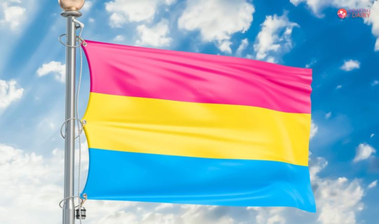 What Are The Colors Of The Pansexual Flag? What Does It Mean?